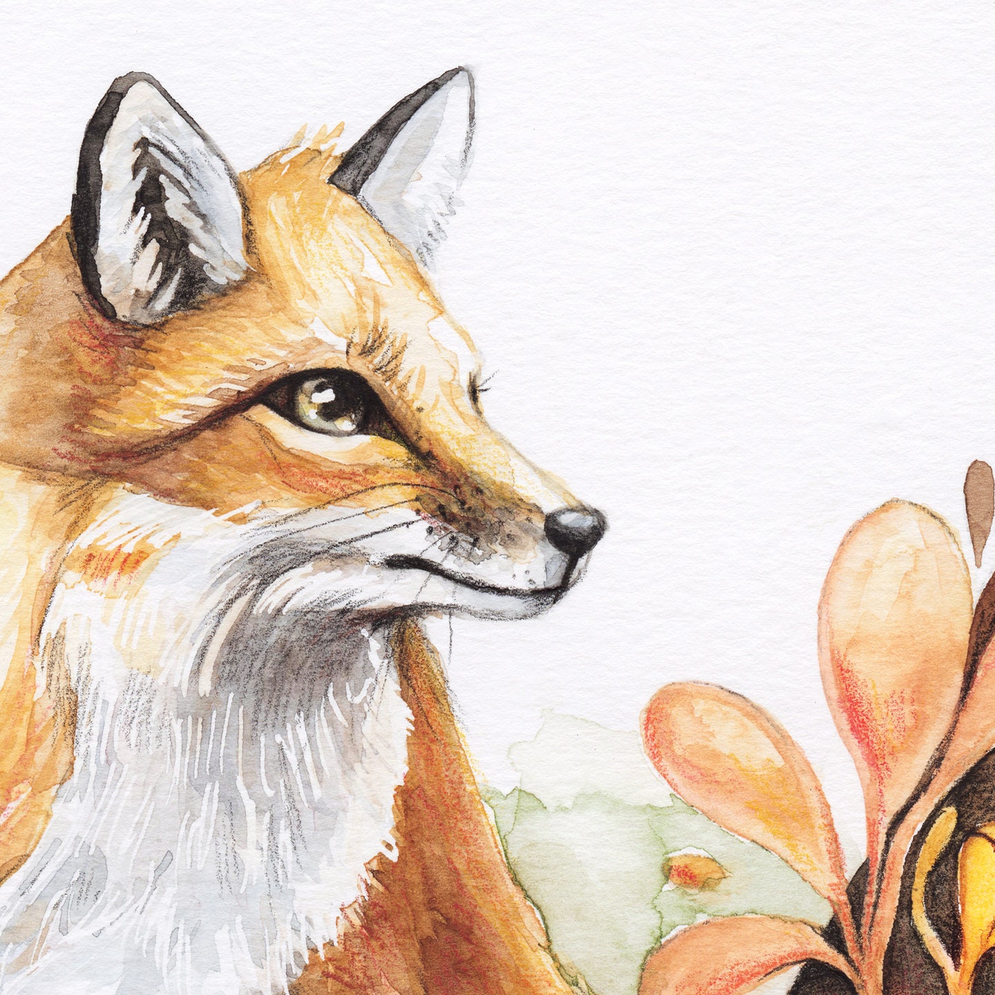 Affiche de renard roux / Fox illustration / Renard collection - Etsy Canada