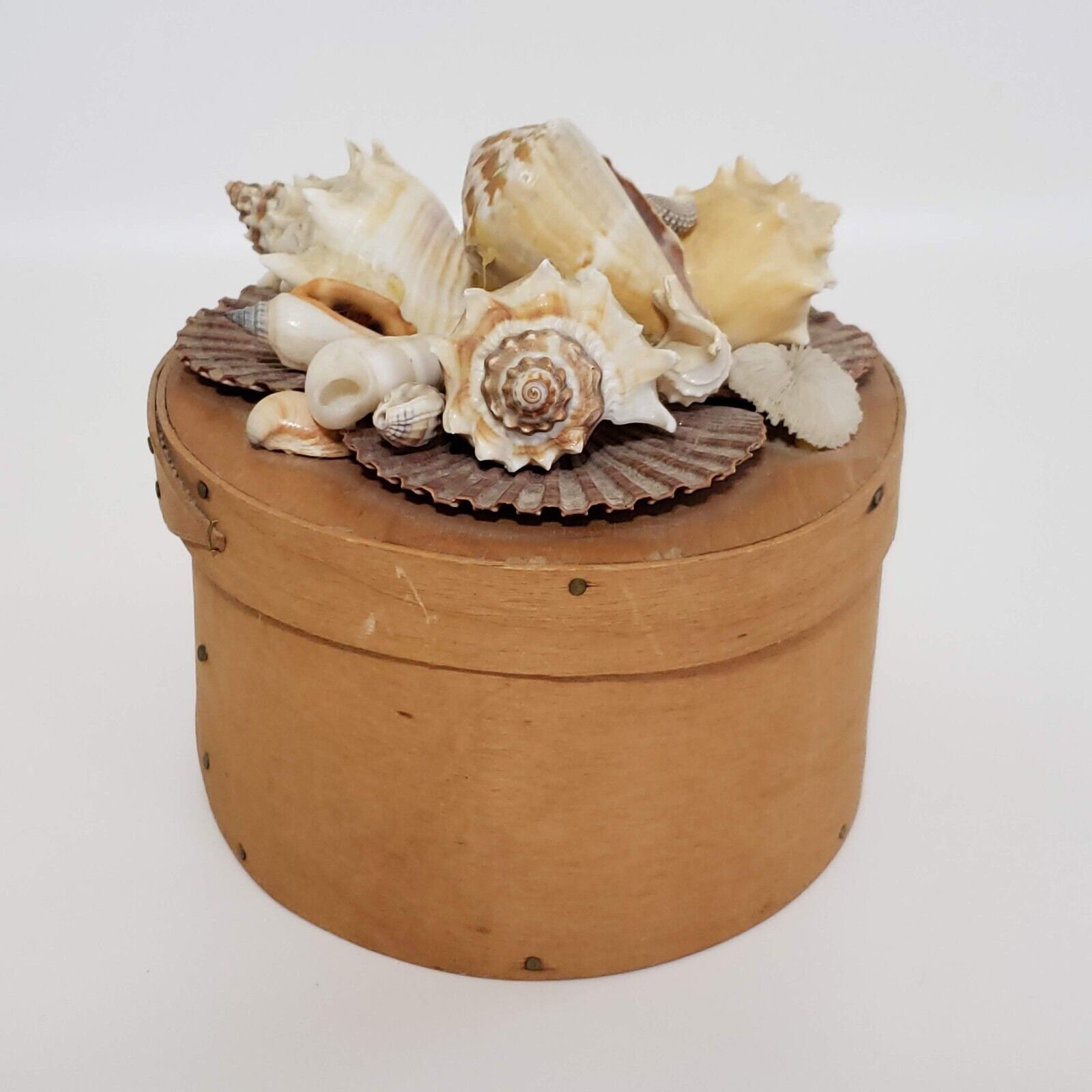 Seashell Bent Wood Box Shaker Style Shells Beach Oval Beach Home Decor ...