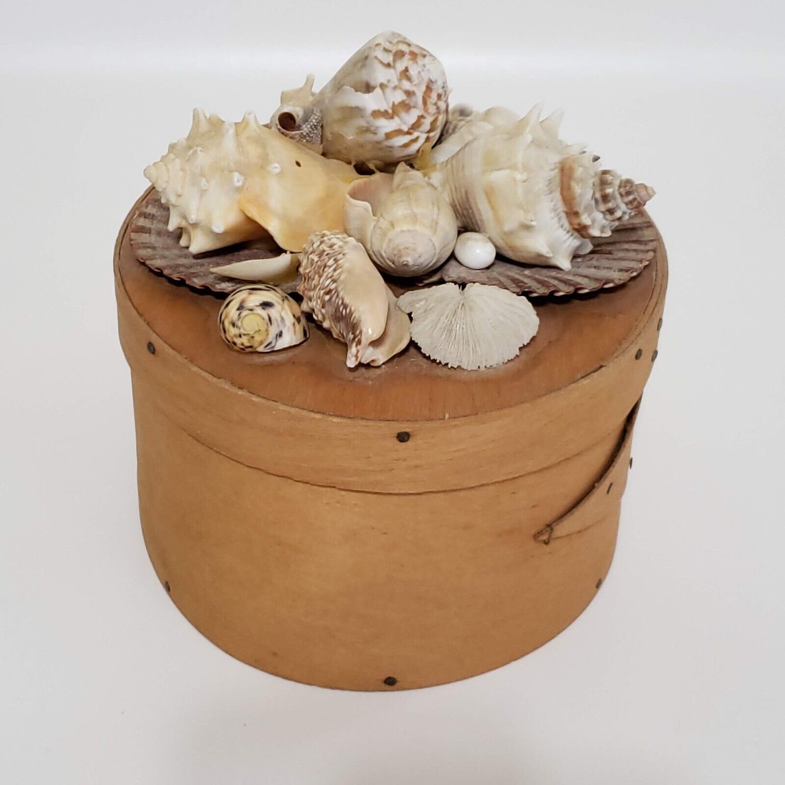 Seashell Bent Wood Box Shaker Style Shells Beach Oval Beach Home Decor ...