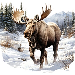 Moose Clipart, Winter Moose PNG, Moose Illustration, Winter Moose ...