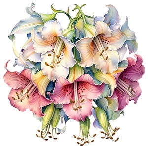 Bell Flowers, Summer Flowers Clipart, Spring Flowers PNG, Flowers ...