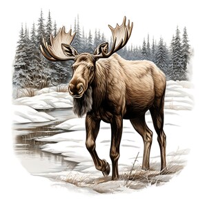 Moose Clipart, Winter Moose PNG, Moose Illustration, Winter Moose ...