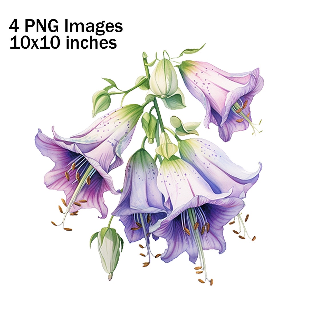 Bell Flowers, Summer Flowers Clipart, Spring Flowers PNG, Flowers ...