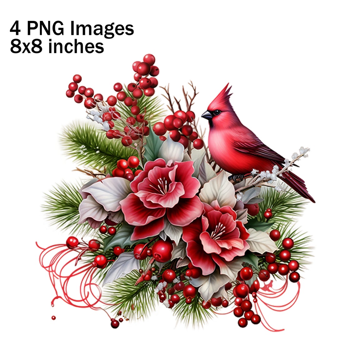 Christmas Clipart, Redbird Christmas Images, Poinsetta PNG, Transparent ...