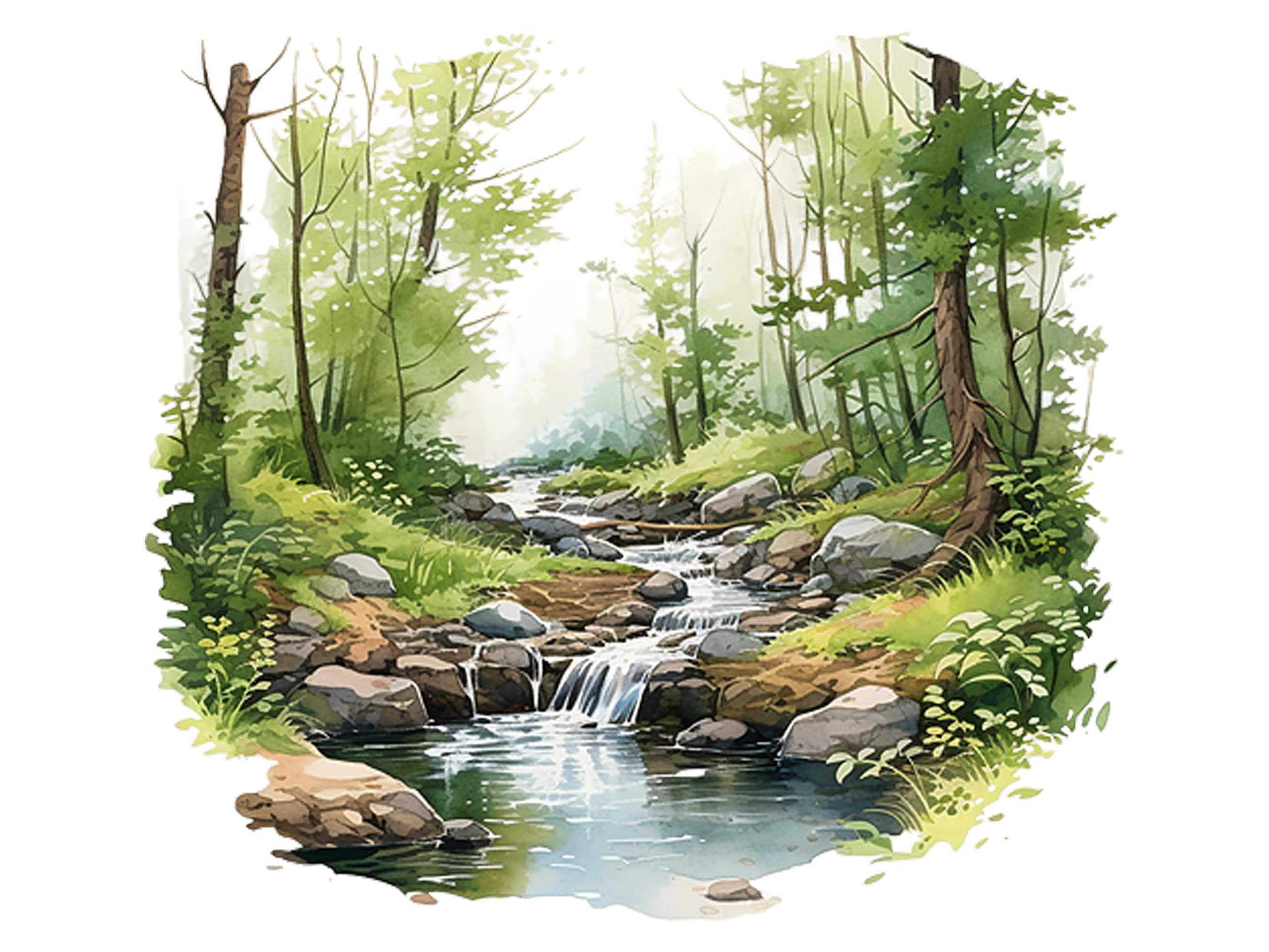 Mountain Brook, Forest Brook Clipart, Watercolor Brook, Mountain Stream ...