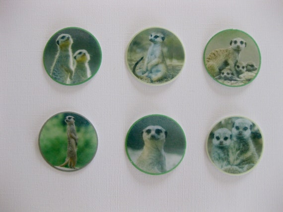 PRE CUT 12 Edible Rice Paper Wafer Card MEERKAT Cupcake Party | Etsy