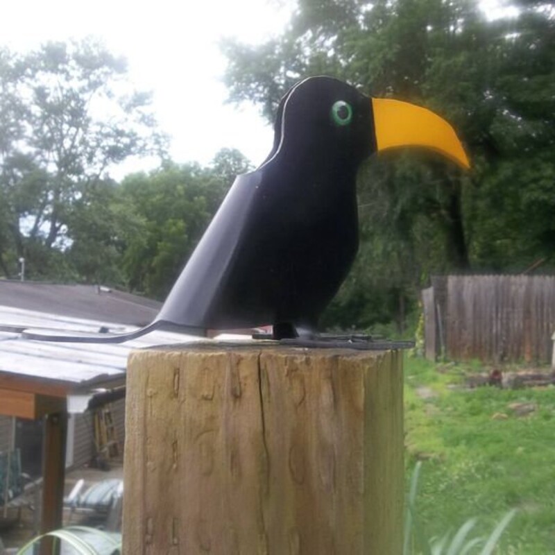 Pvc Bird Pattern - Etsy