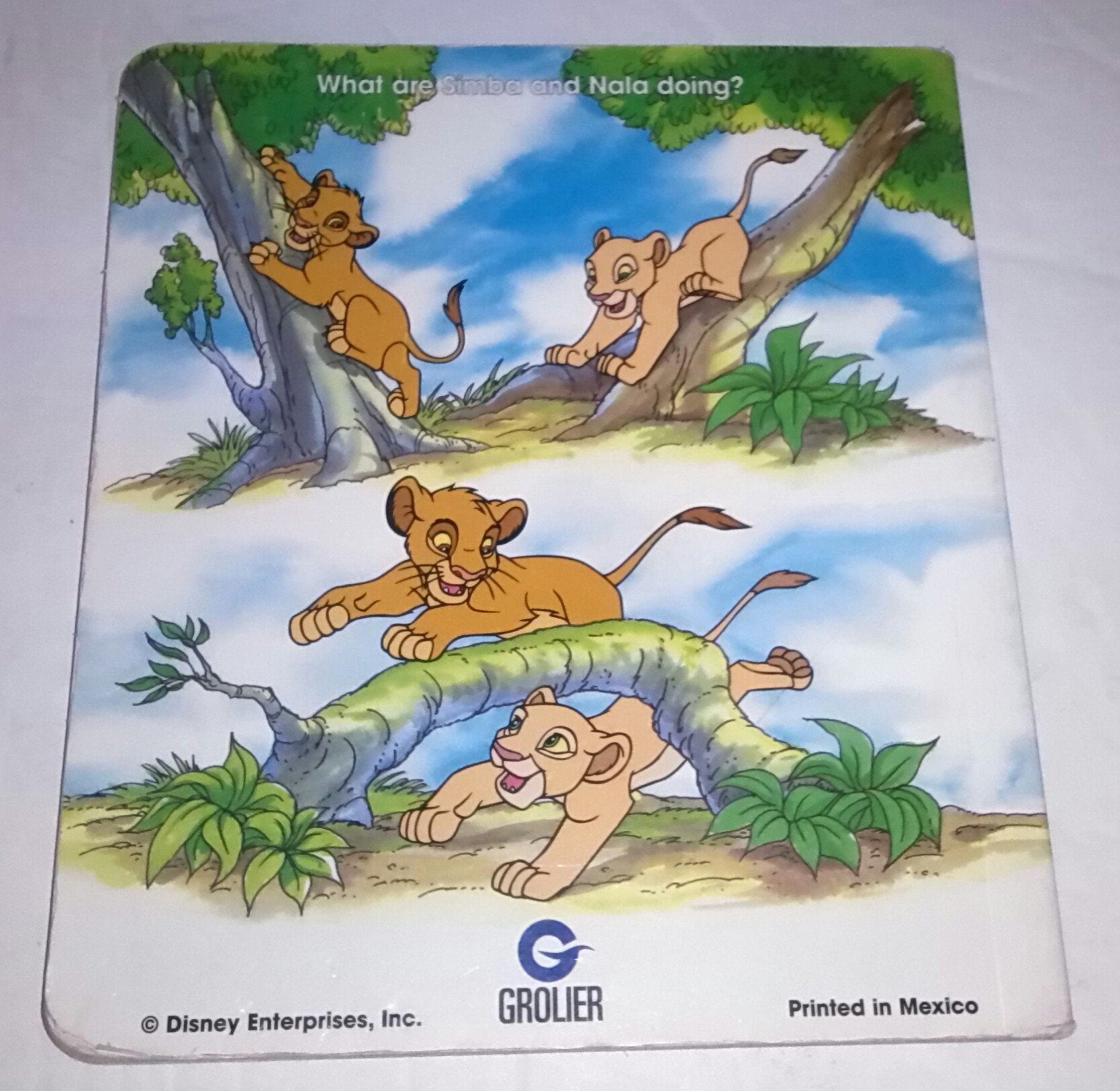 Disney's the Lion King Simba and Nala at Play Baby's First Disney Books ...