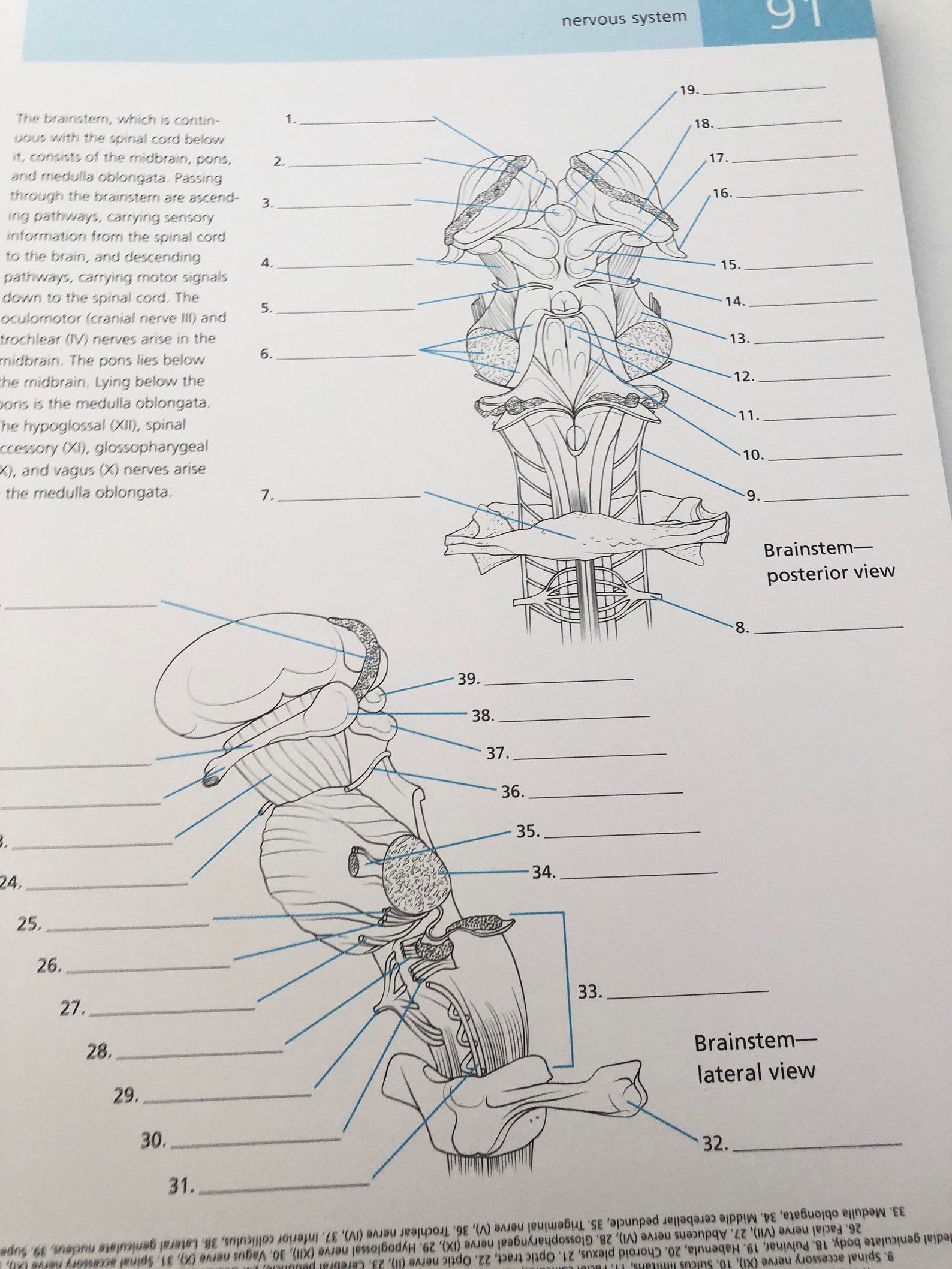 The Anatomy Student's Self Test Coloring Book by - Etsy
