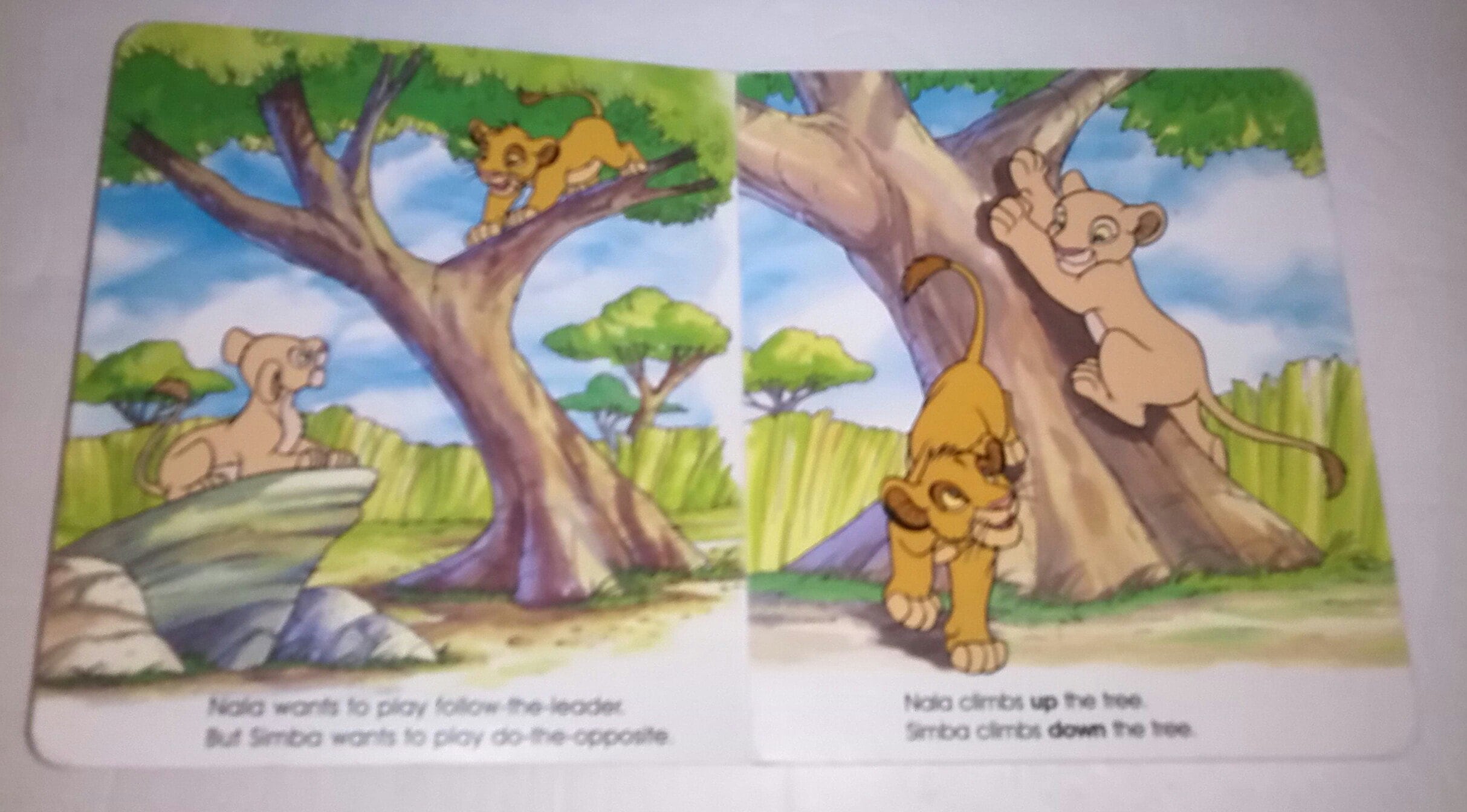 Disney's the Lion King Simba and Nala at Play Baby's - Etsy