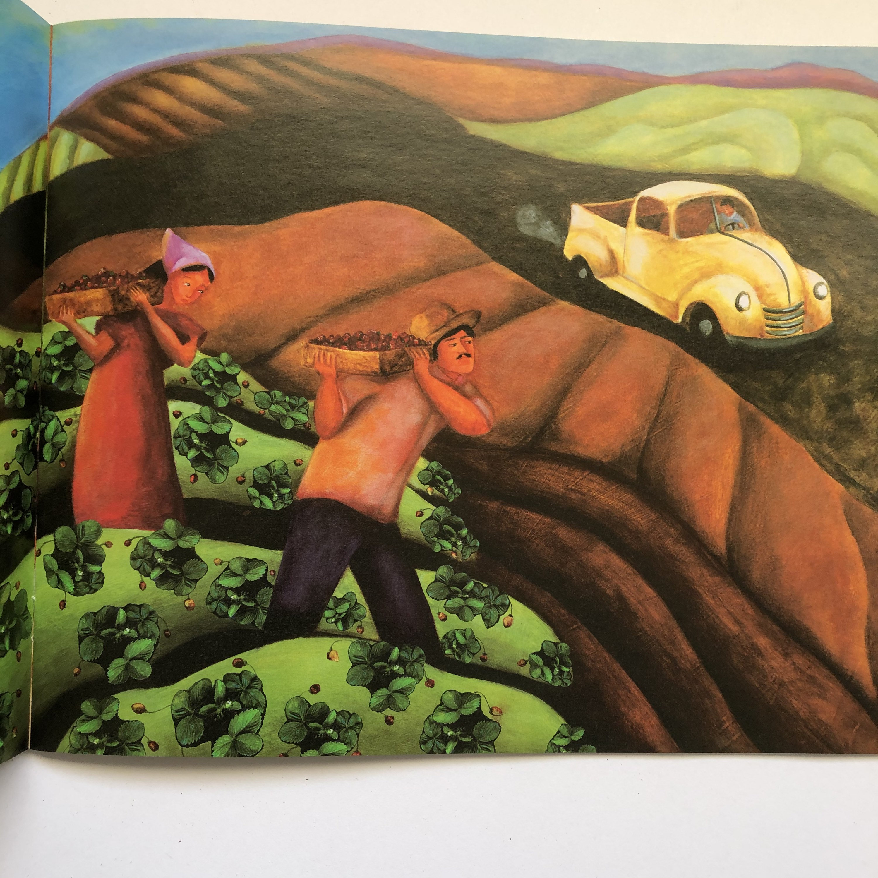 Harvesting Hope the Story of Cesar Chavez by Kathleen Krull Childrens ...