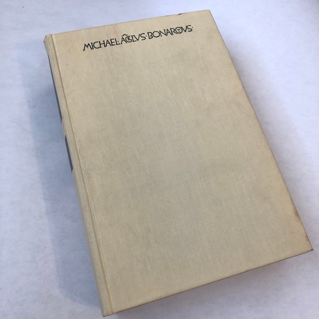 The Agony and the Ecstasy the Biographical Novel of Michelangelo by ...
