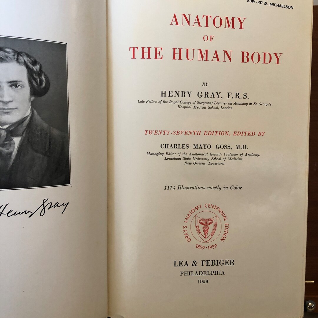 Anatomy of the Human Body Grays Anatomy by Henry Gray - Etsy