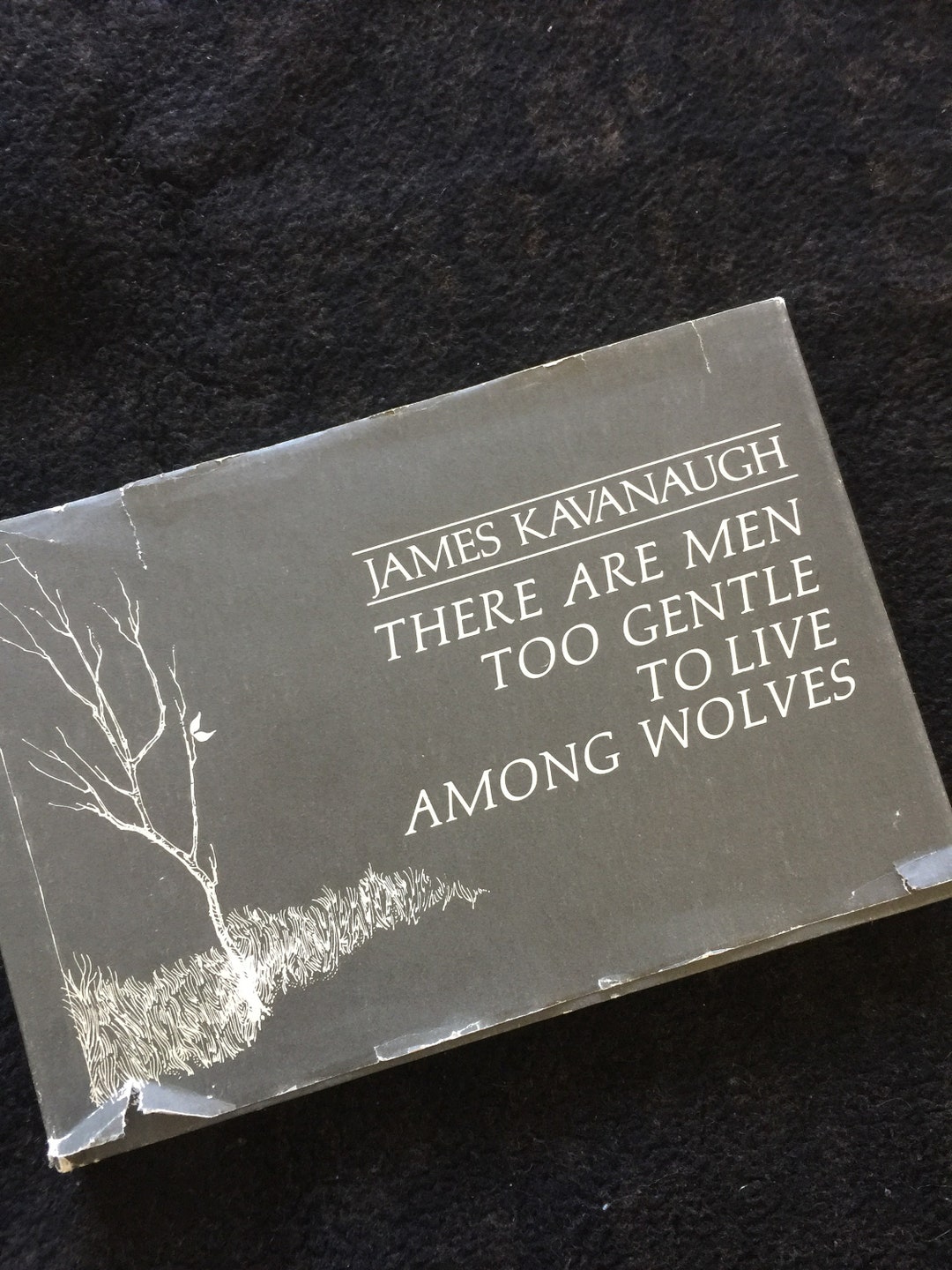 There Are Men Too Gentle to Live Among Wolves by James Kavanaugh Poetry ...