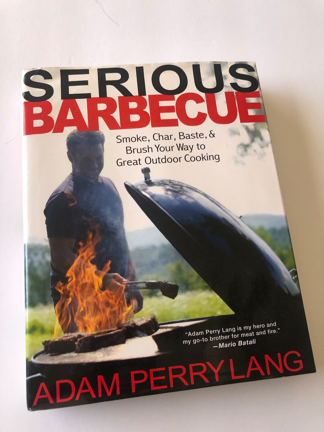 Serious Barbecue by Adam Perry Lang - Etsy