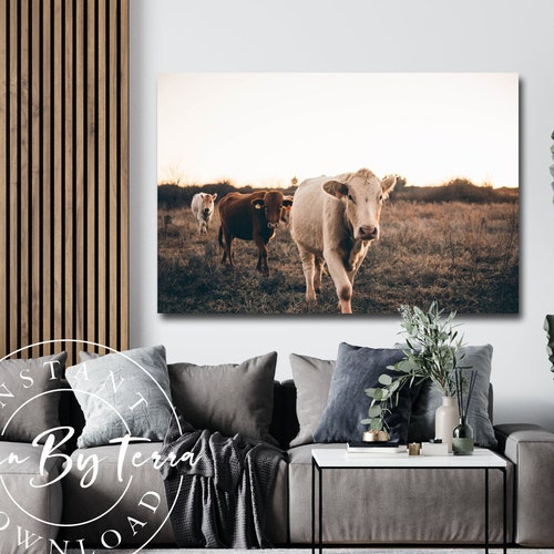 Rustic Ranch Cow Photography Print Cow Print Cow Poster - Etsy
