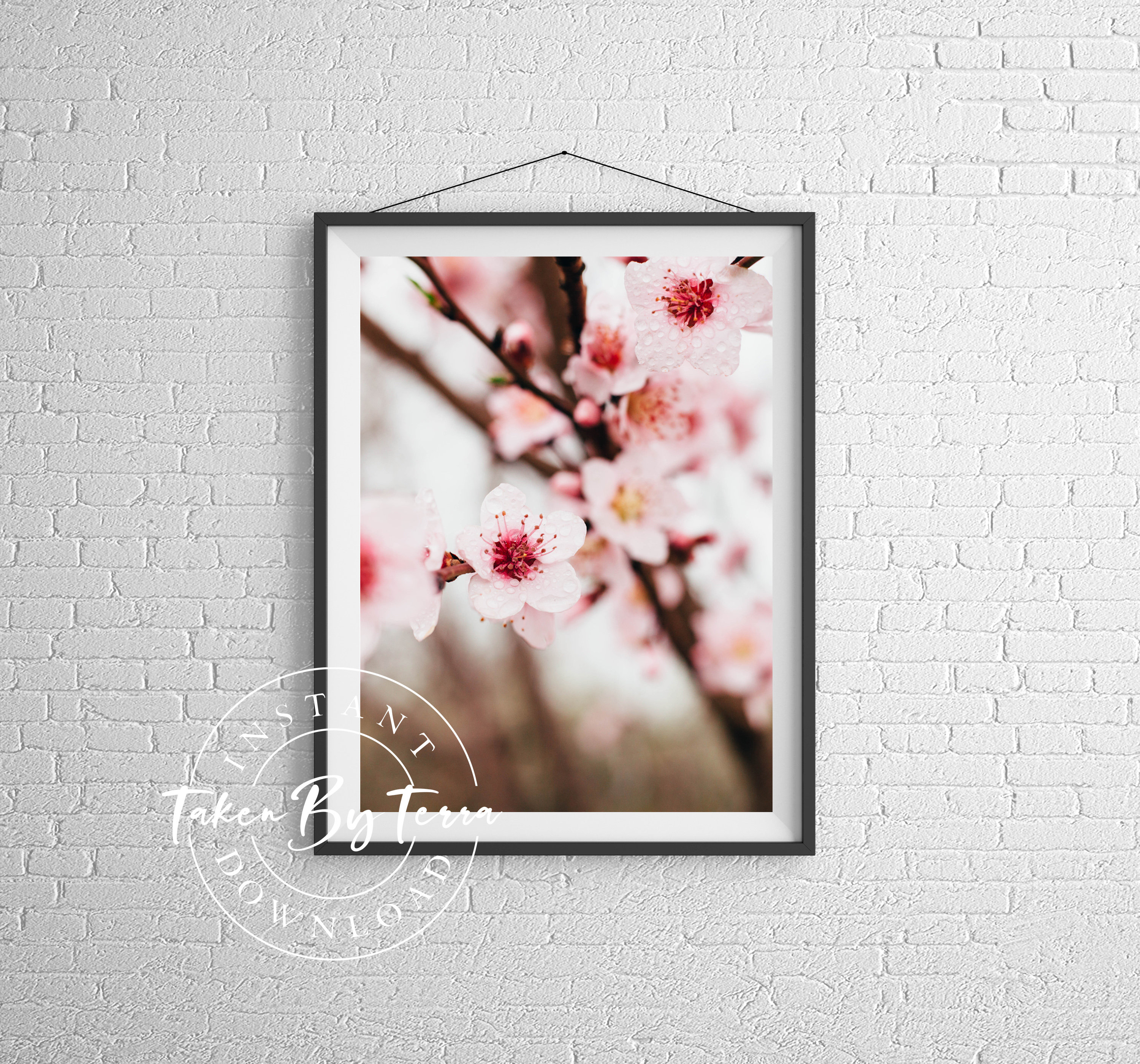Pink Cherry Blossom Photography, Flower Print, Large Poster, Spring ...