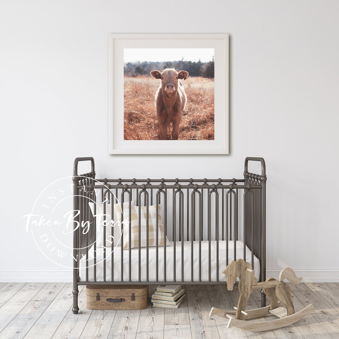Rustic Baby Calf Photography, Cow Print, Cow Poster, Animal Print, Cow ...