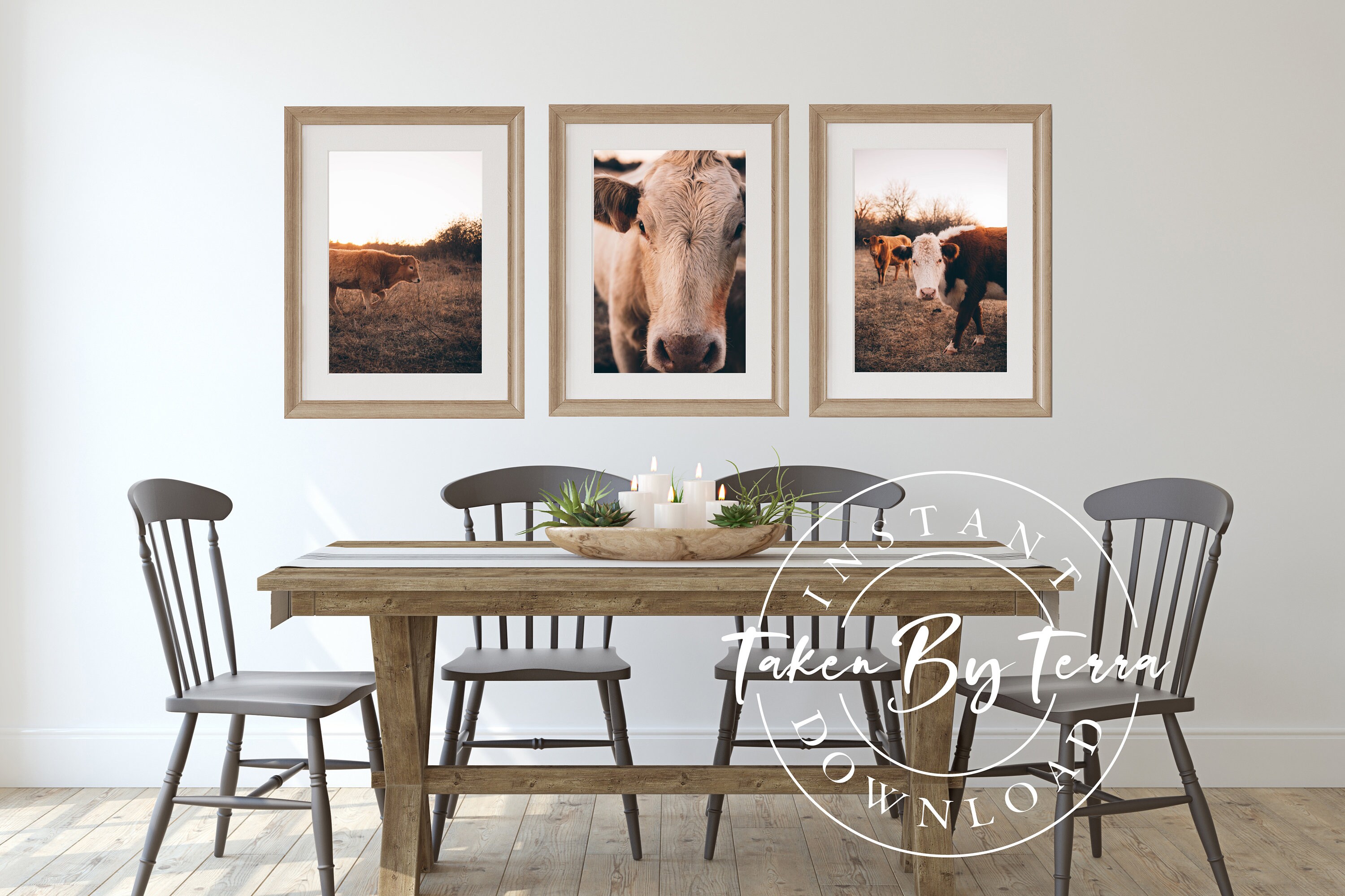 Rustic Ranch Cow Photo Collection, Cow Print, Cow Poster, Animal Print ...