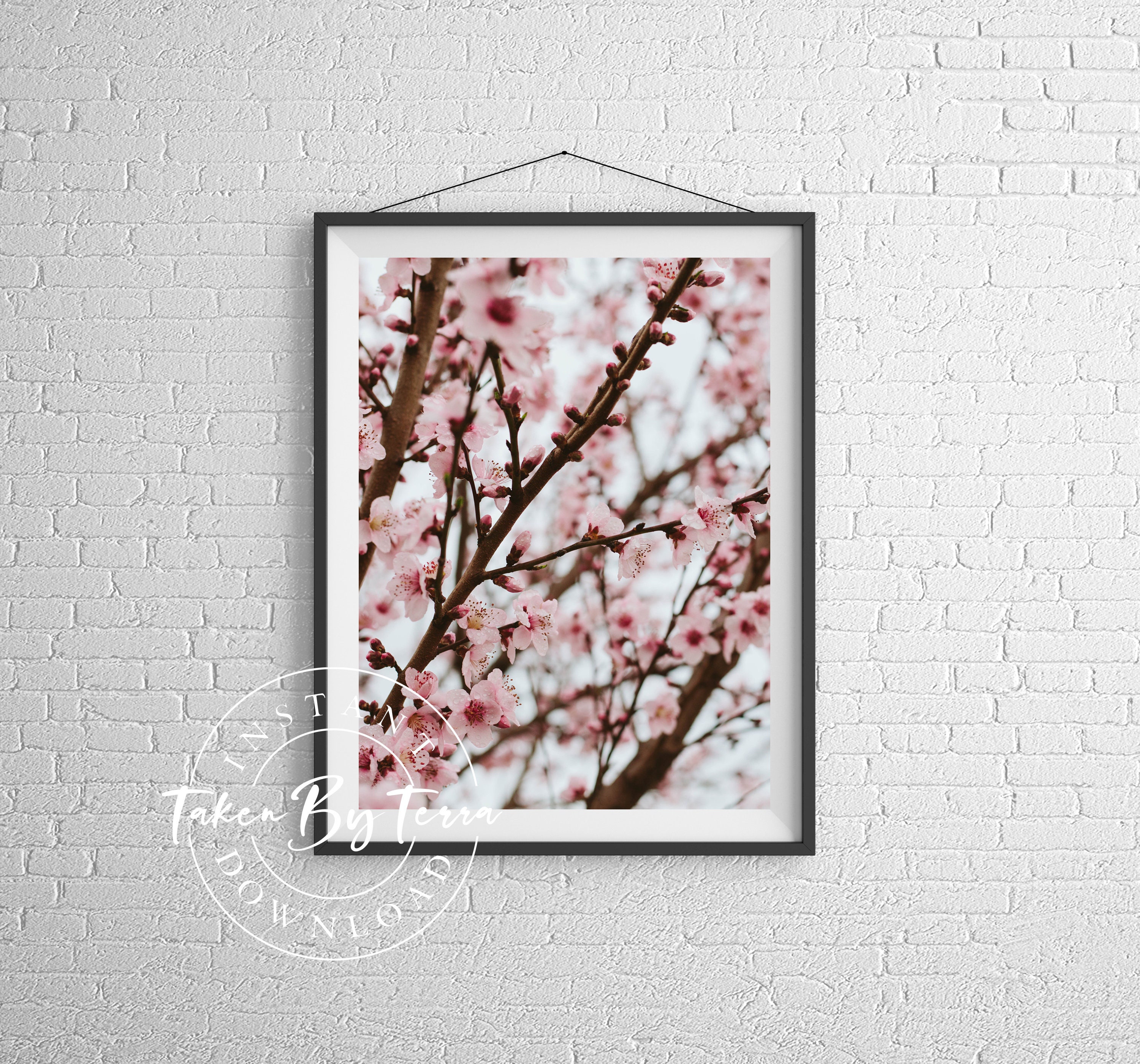 Pink Cherry Blossom Photography, Flower Print, Large Poster, Spring ...