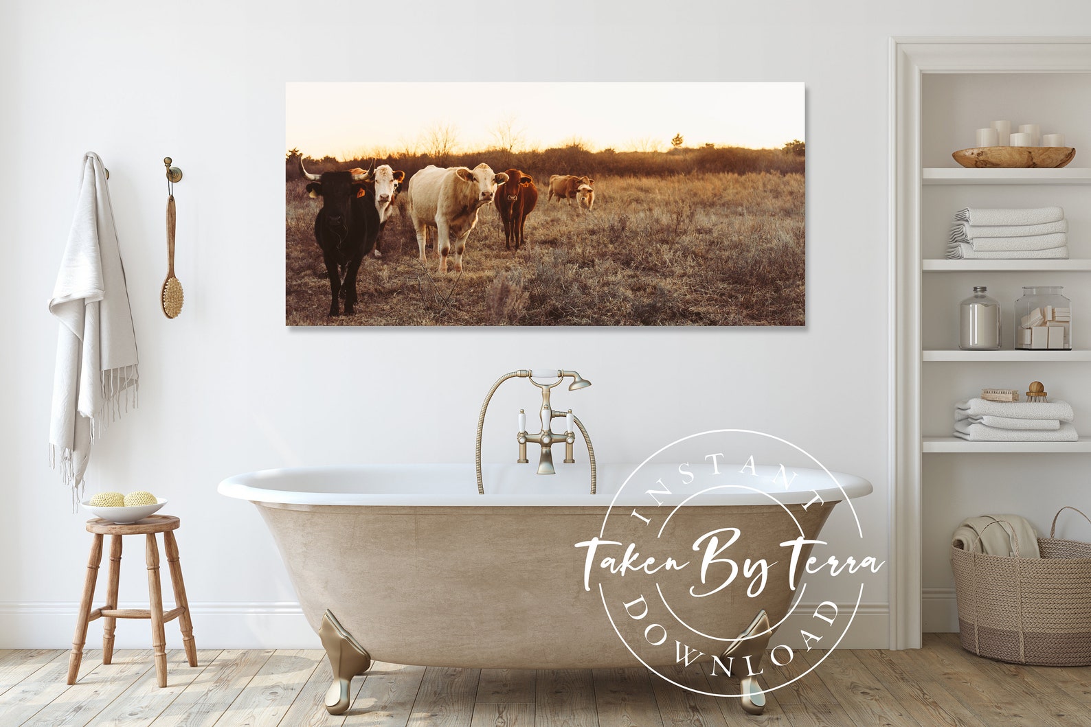 Rustic Ranch Cow Photography Print, Cow Print, Cow Poster, Animal Print ...