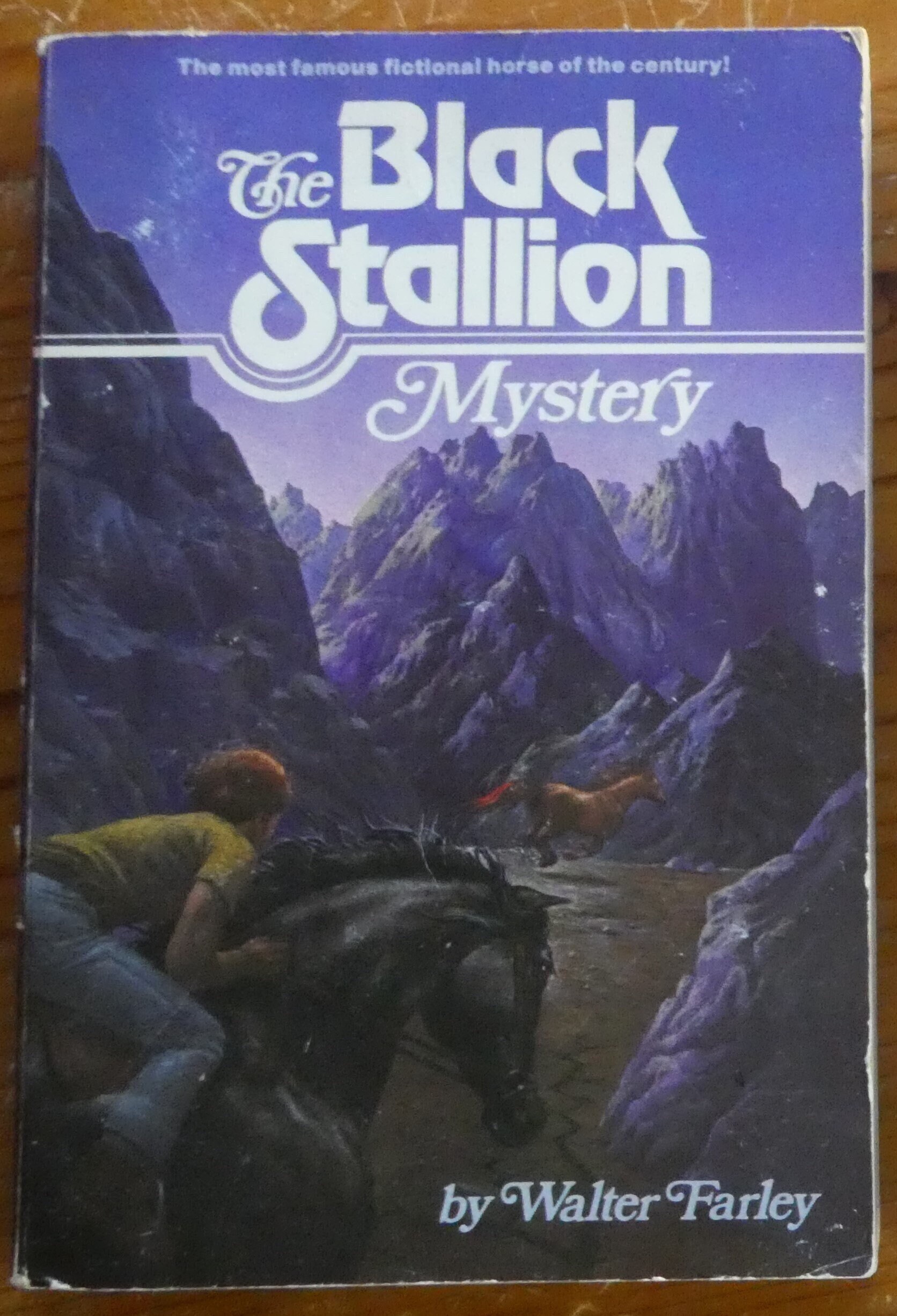 Black Stallion Book Cover