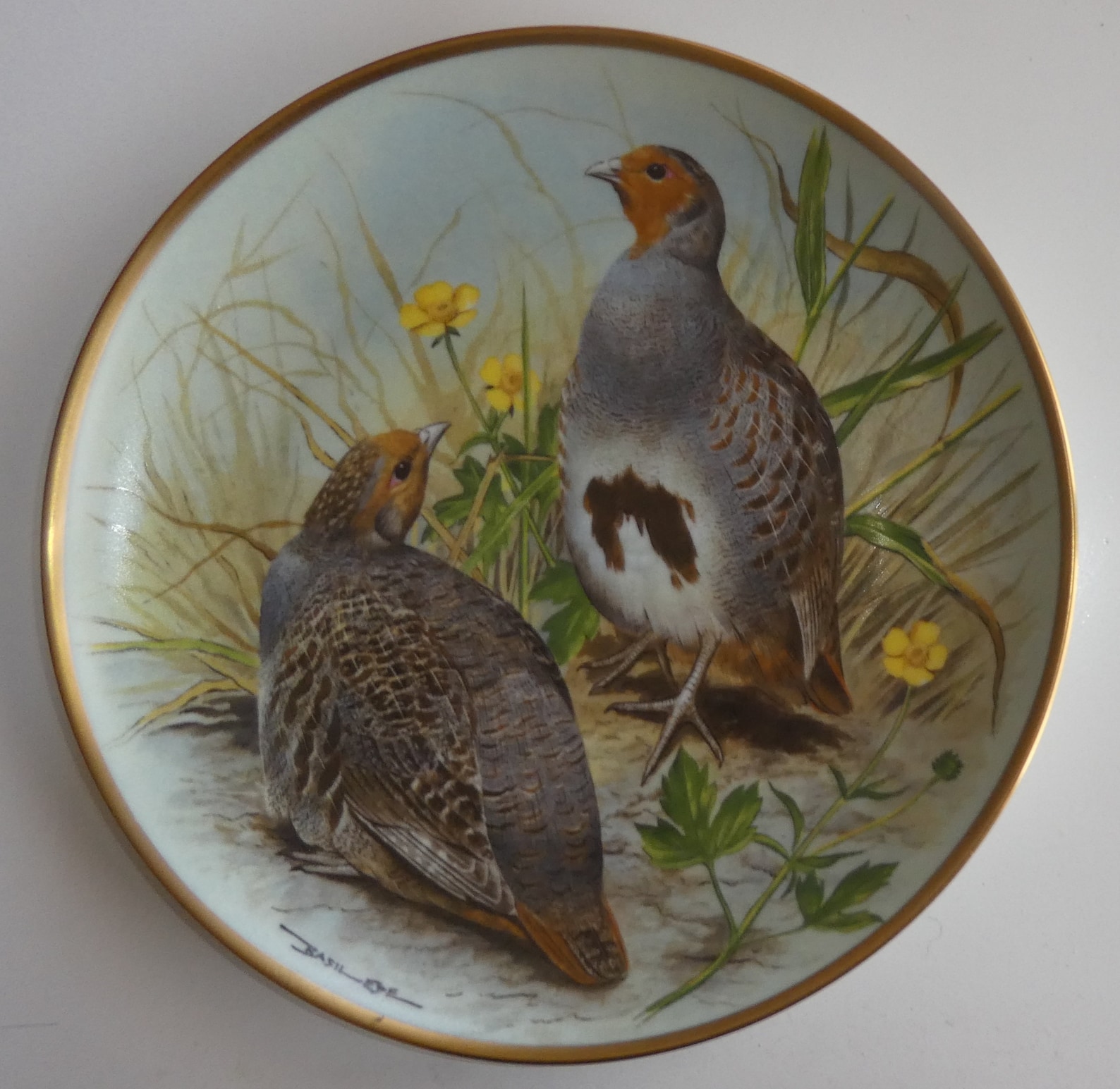 Plate-common Partridge-gamebirds of the World-franklin - Etsy