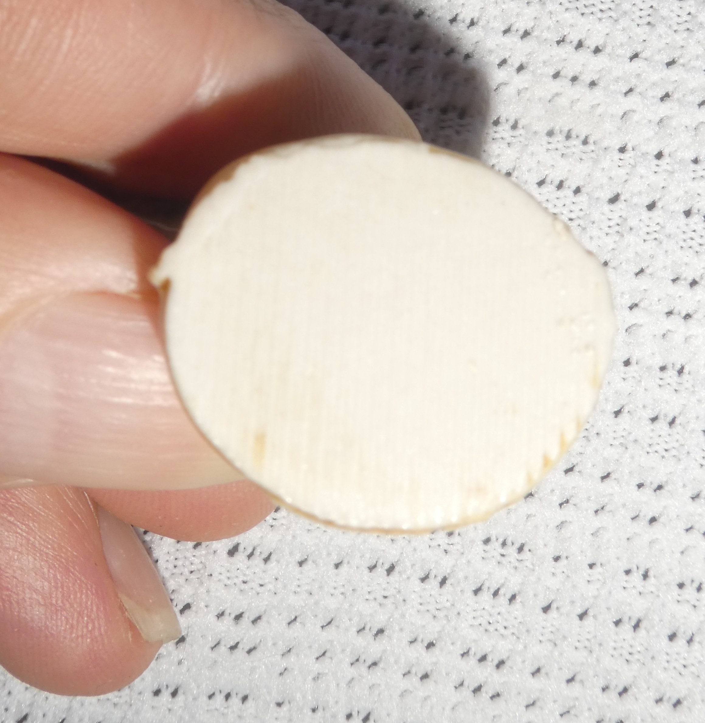 Goose Figurine-wade-bird Life Series 1992-1993 Wade Whimsies - Etsy