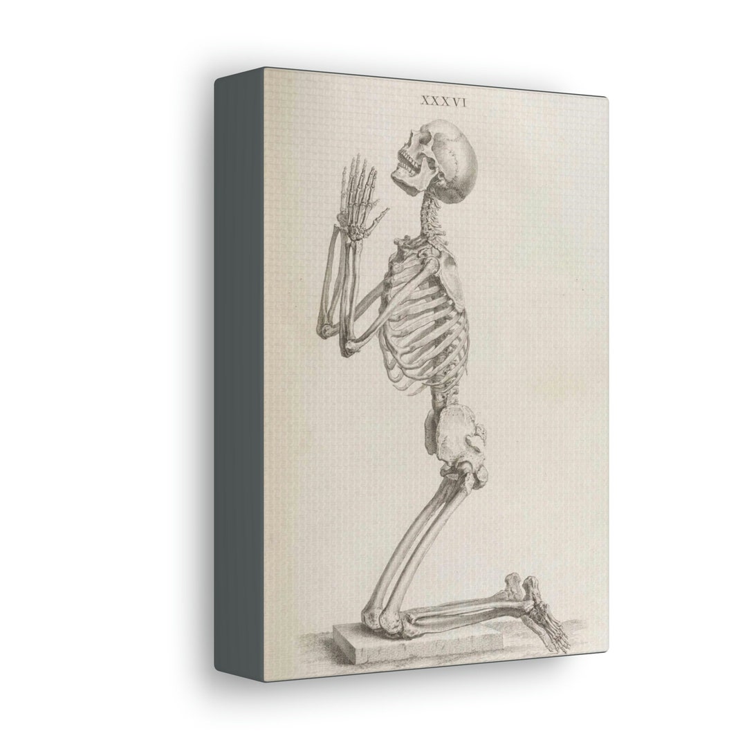 Human Skeleton in Prayer Position - Creepy Vintage Goth Home Decor ...