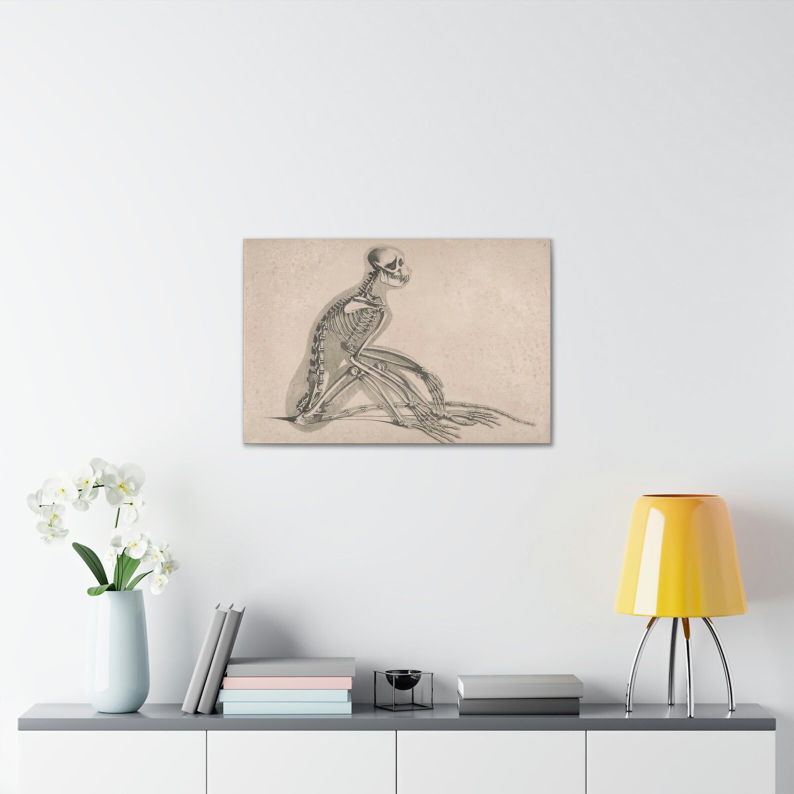 Monkey Skeleton Wall Art - Animal Skeleton Canvas Print - Creepy ...
