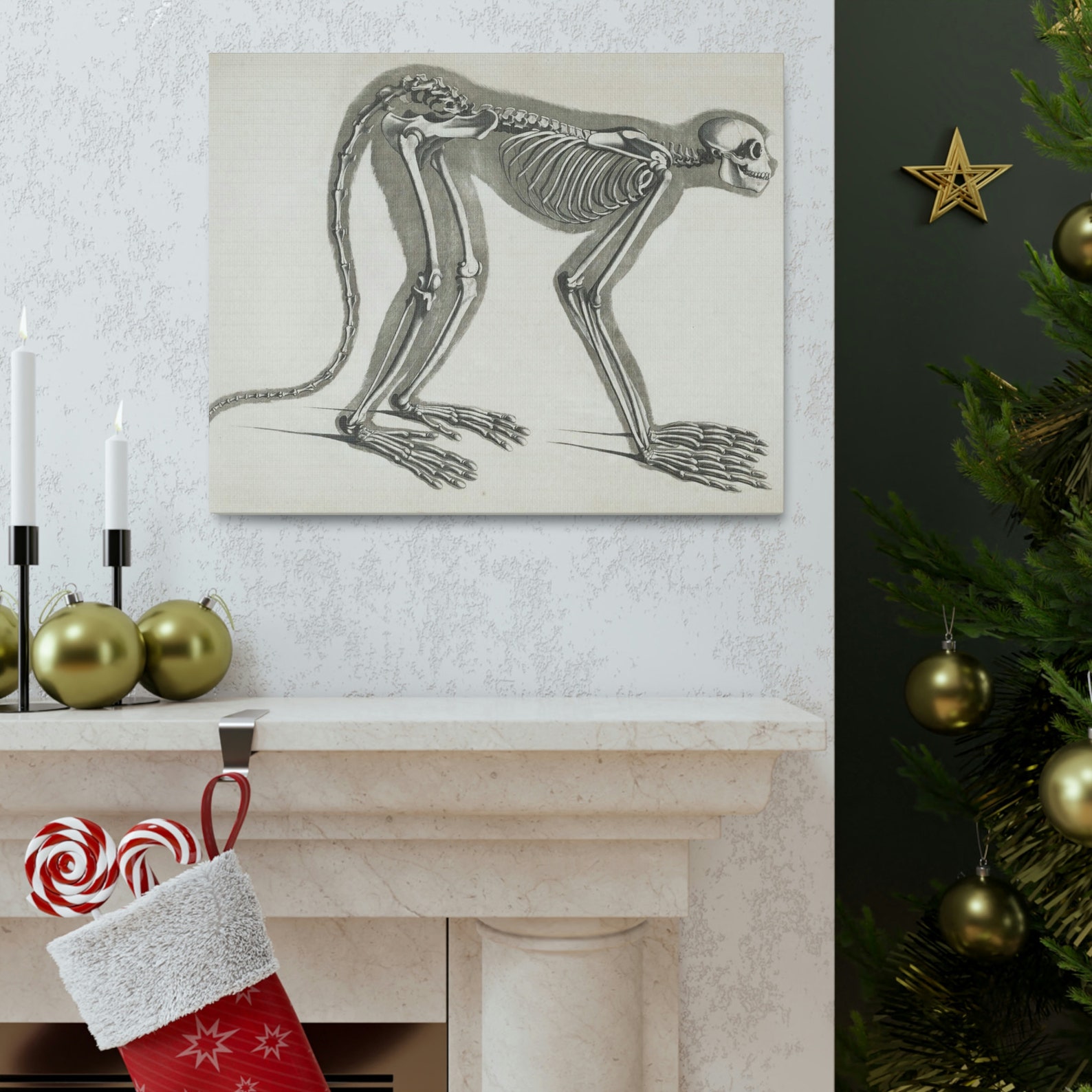 Monkey Skeleton Wall Art - Animal Skeleton Canvas Print - Creepy ...