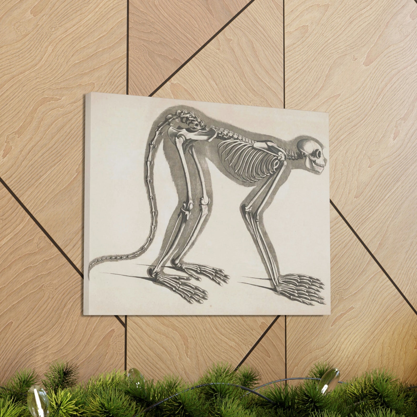 Monkey Skeleton Wall Art - Animal Skeleton Canvas Print - Creepy ...