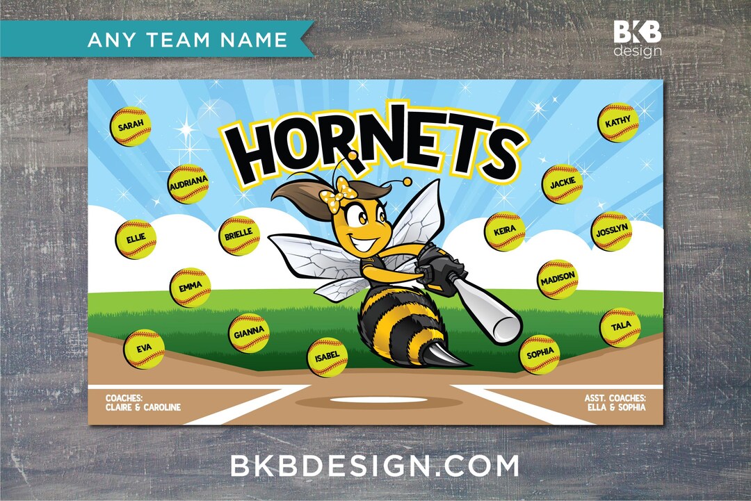 Custom Vinyl Softball/baseball Team Banner: Bumblebees, Queen Bees ...