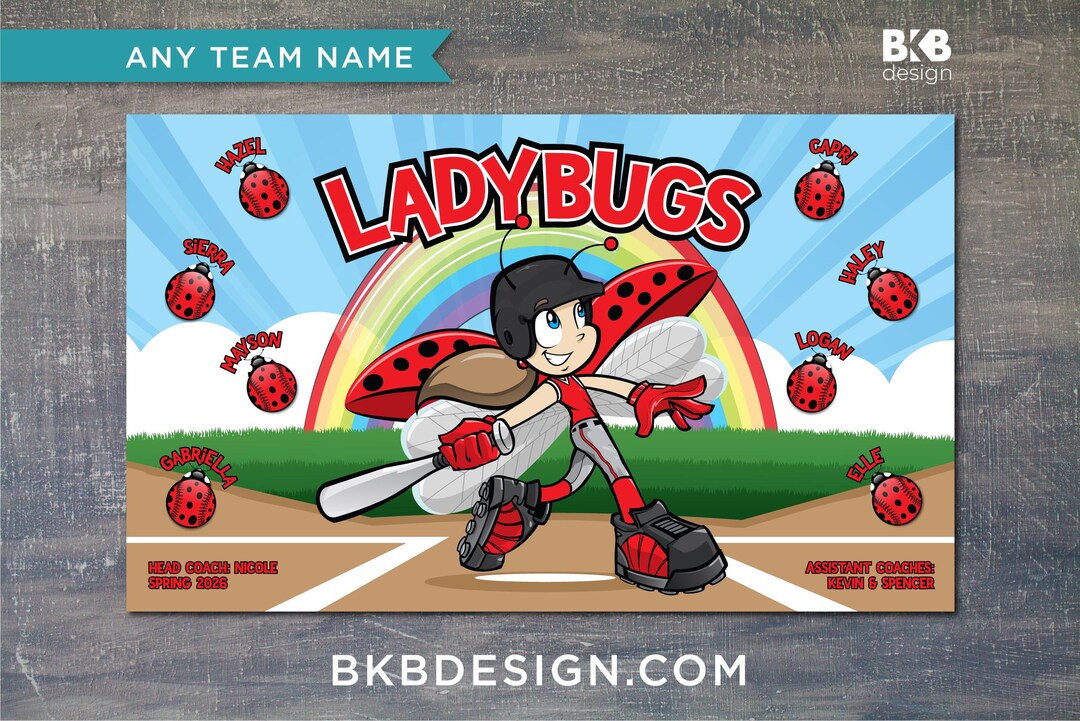 Custom Vinyl Softball/baseball Team Banner: Ladybugs - Etsy