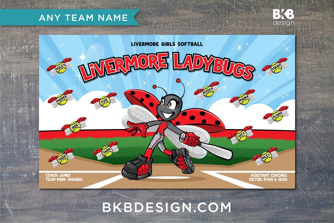Custom Vinyl Softball Banner, Little League Banner, T-ball Banner ...