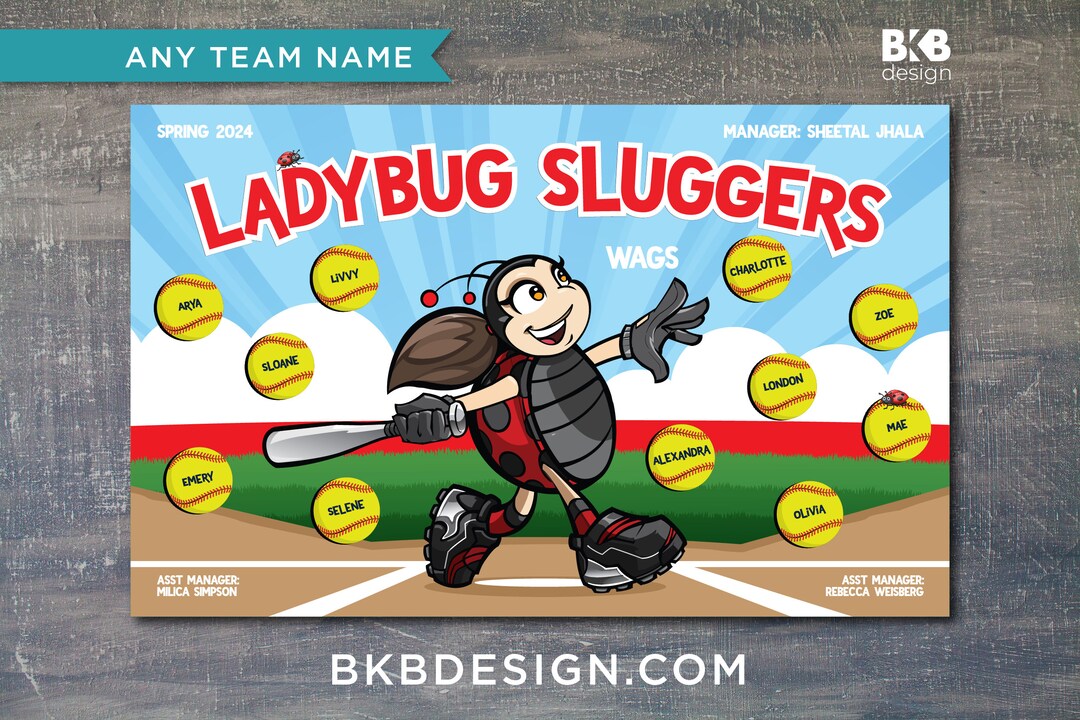 Custom Vinyl Softball Banner, Little League Banner, T-ball Banner ...