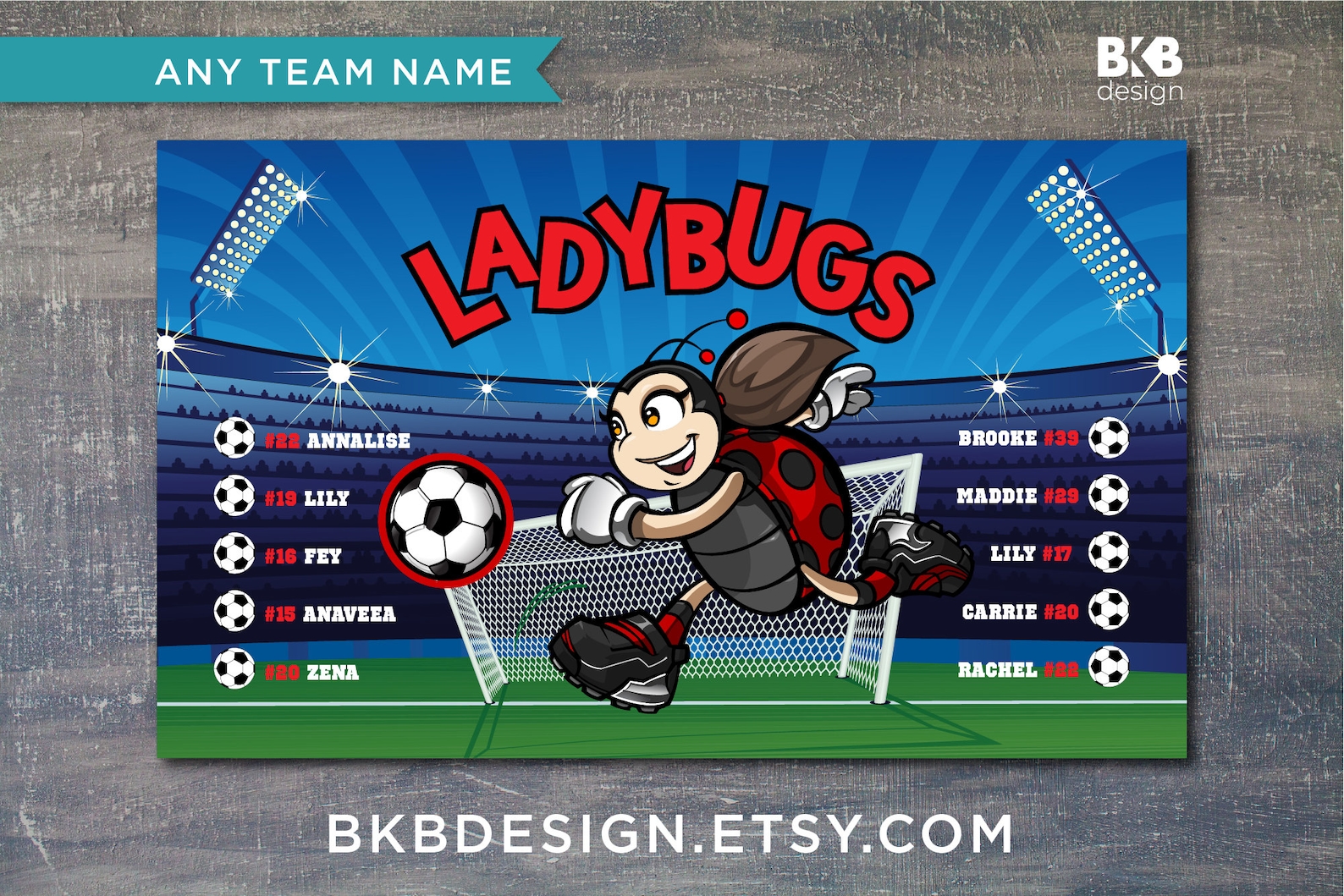 Custom Vinyl Soccer Banner, Ladybugs - Etsy