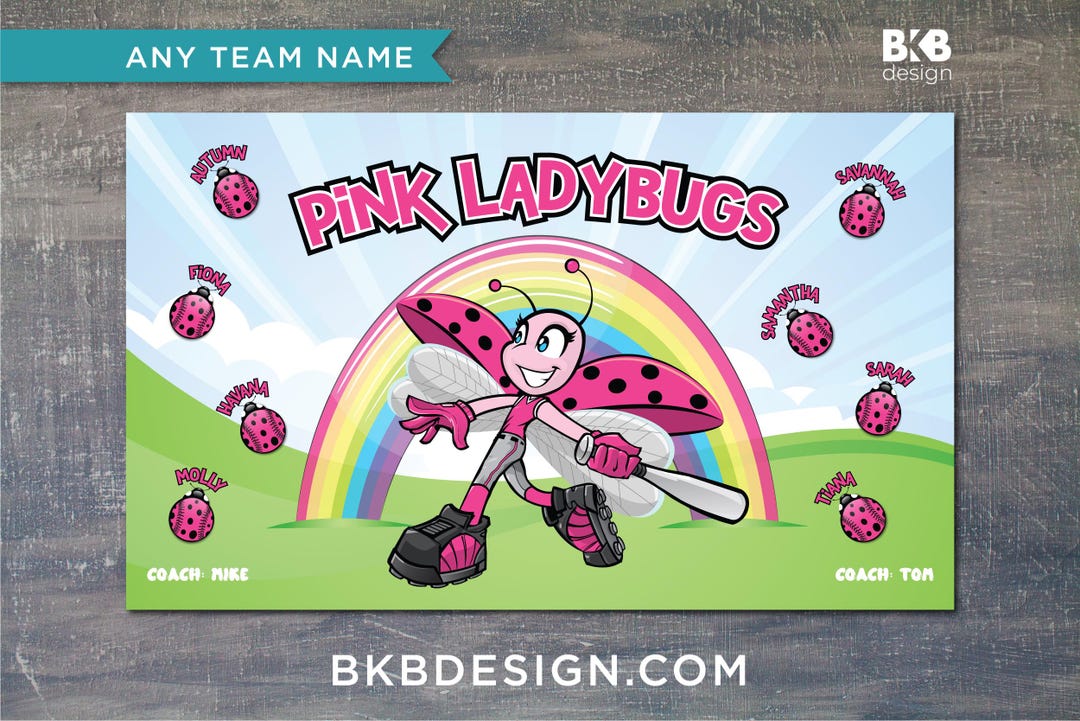 Custom Vinyl Softball/baseball Team Banner: Ladybugs - Etsy