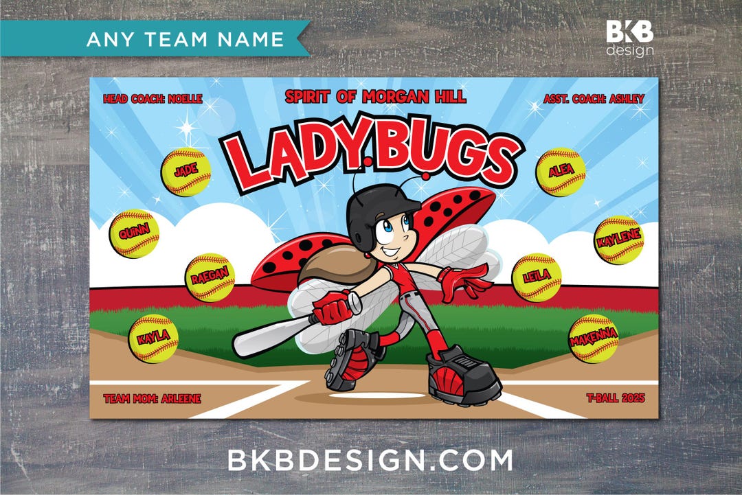Custom Vinyl Softball/baseball Banner: Ladybugs - Etsy