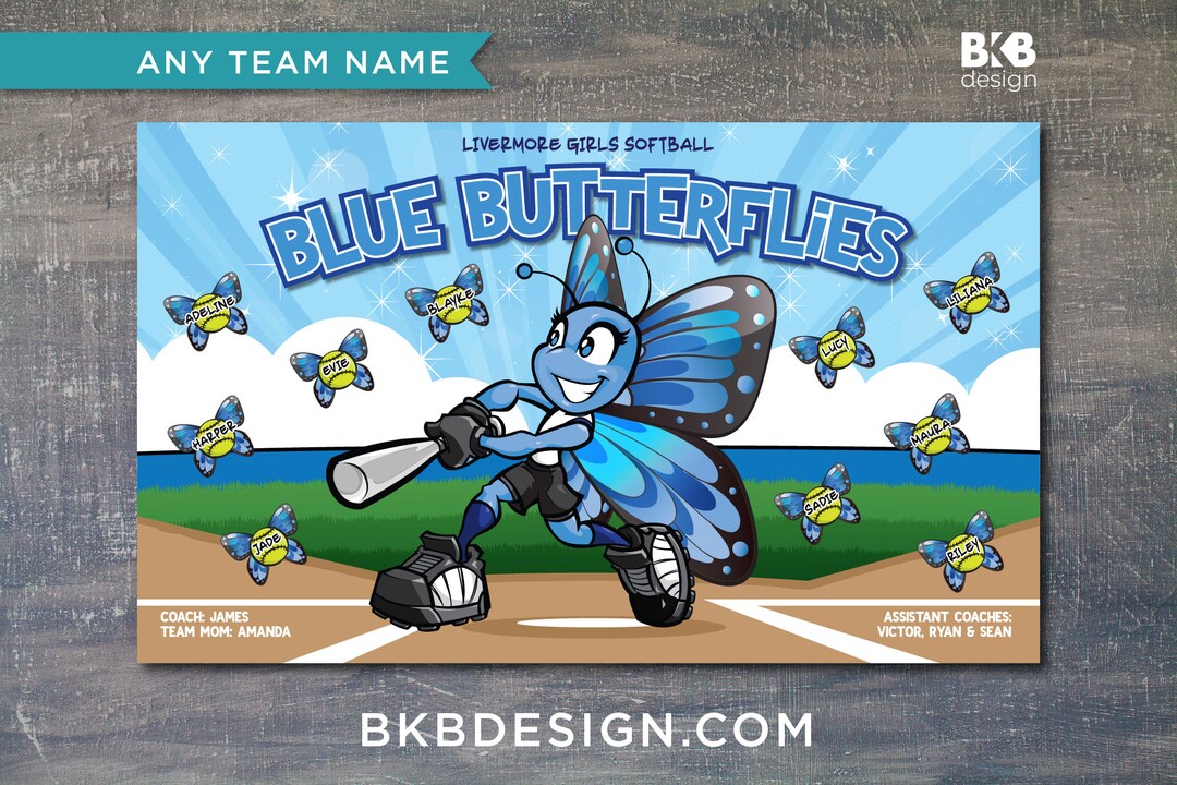Custom Vinyl Softball Banner, Little League Banner, T-ball Banner ...