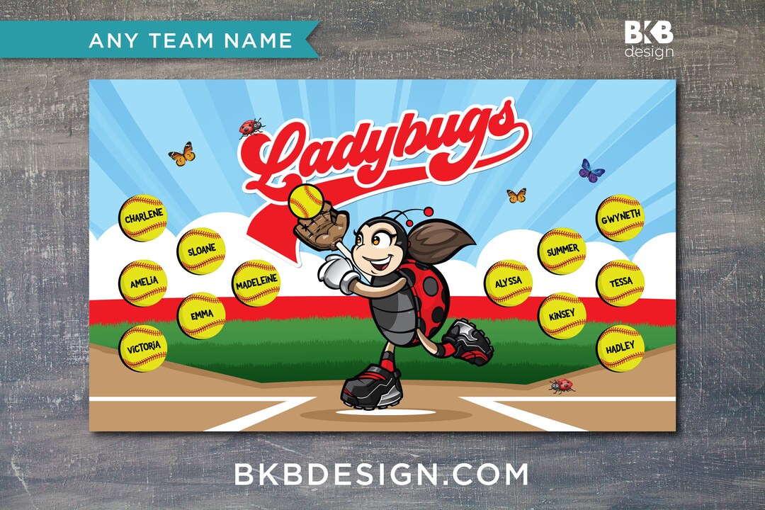 Custom Vinyl Softball/baseball Team Banner: Ladybugs - Etsy