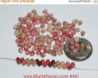 Kahelelani shells | Etsy