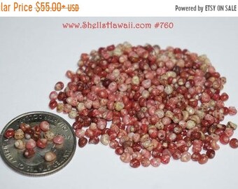 Kahelelani shells | Etsy