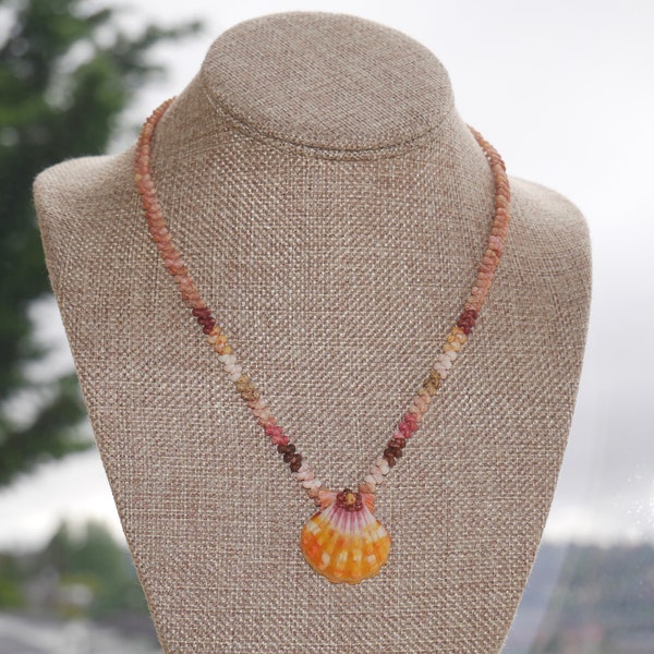 Sunrise Shells - Etsy