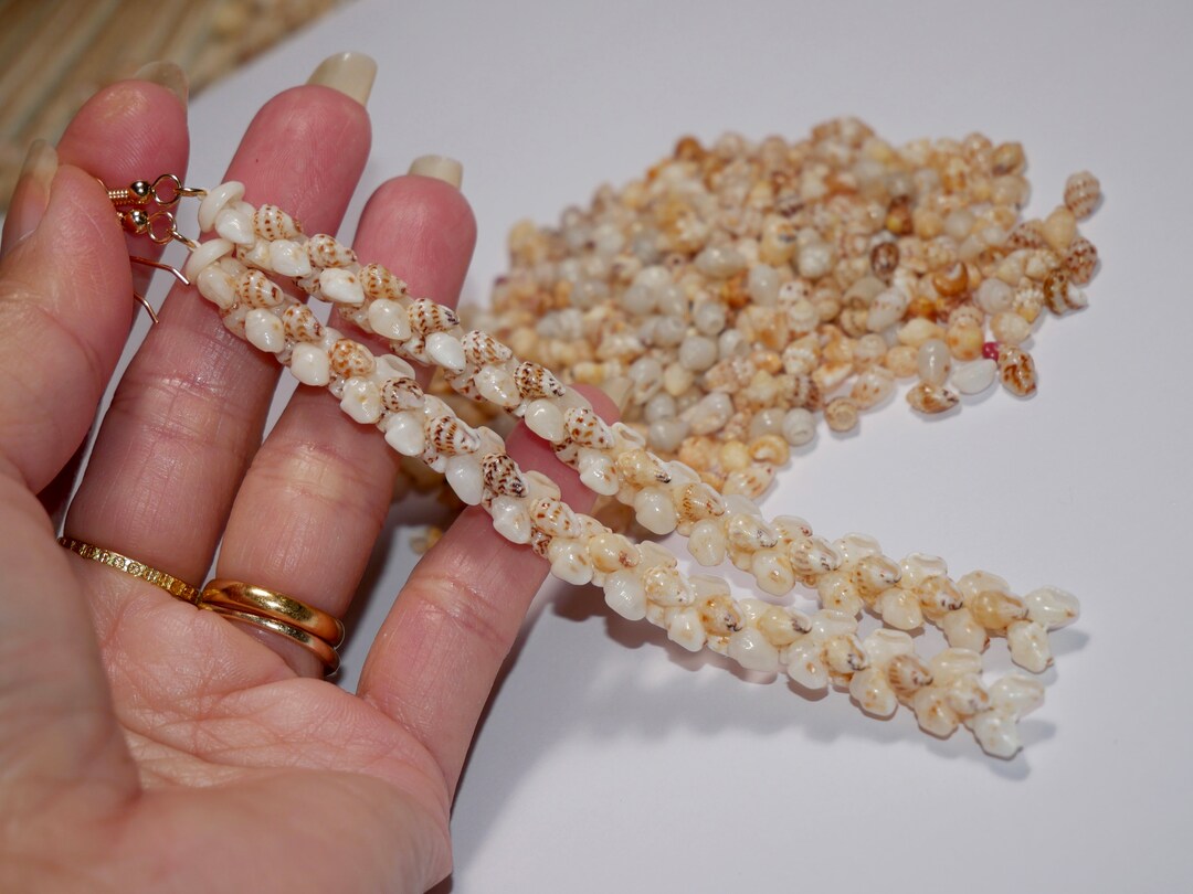 4 1/4" Momi Pikake Style Shell Earrings Made of White Momi, Dark ...