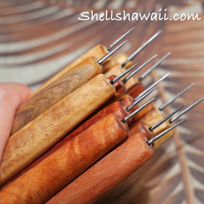 ShellsHawaii - Etsy