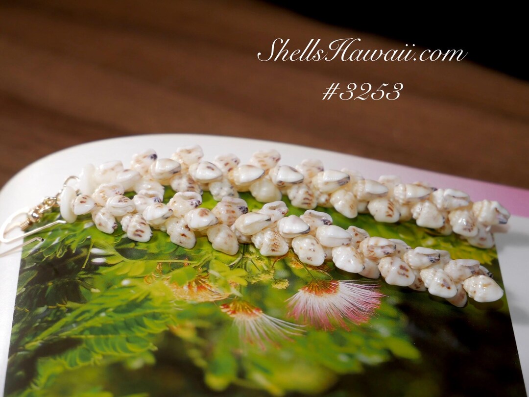 3.5" Niihau Shell Earrings Made of Lenalena Kahakaha Momi Shells #3253 ...