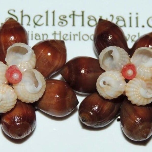 Kahelelani Shells - Etsy