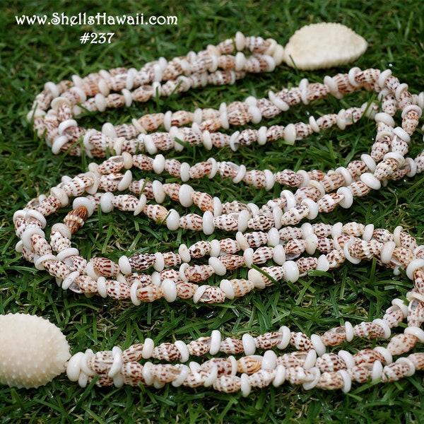 Puka Shell Necklace - Shop Online - Etsy