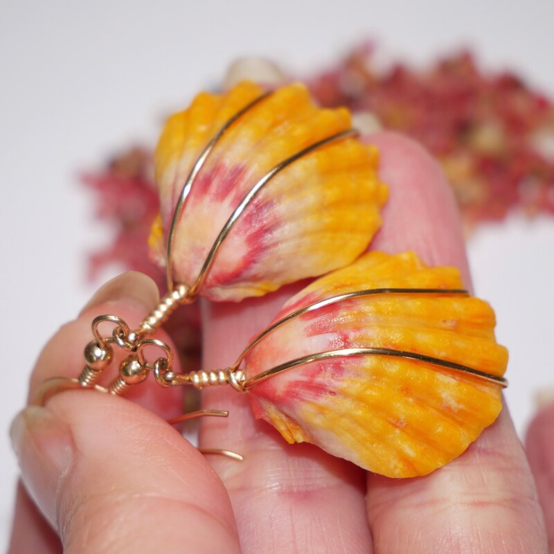 Sunrise Shells - Etsy